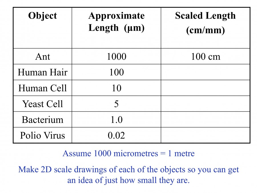 Microorganisms and scale teaching resources - the science teacher