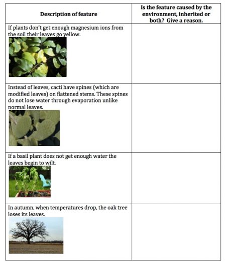Variation between organisms teaching resources - the science teacher