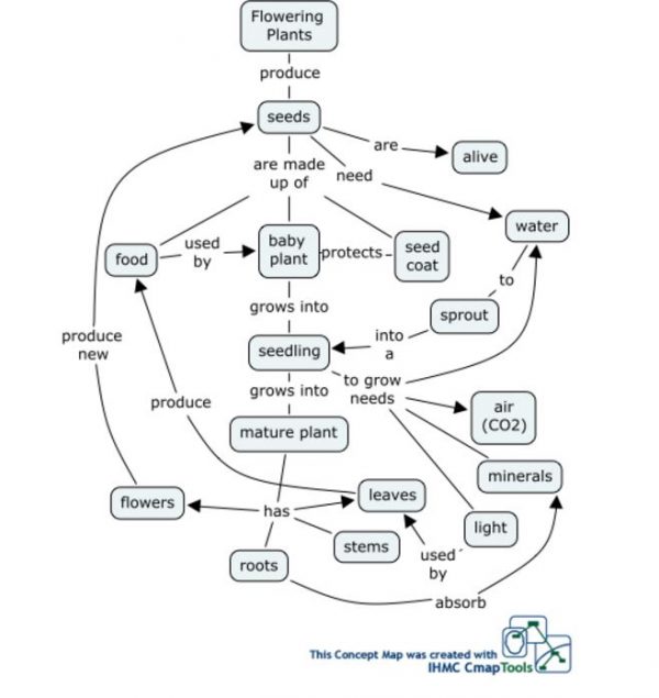 Knowledge versus understanding in science - the science teacher