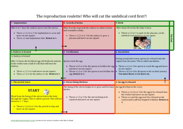 Reproduction in humans teaching resources - the science teacher