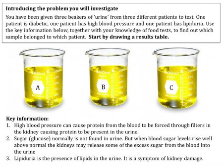 Food tests teaching resources - the science teacher