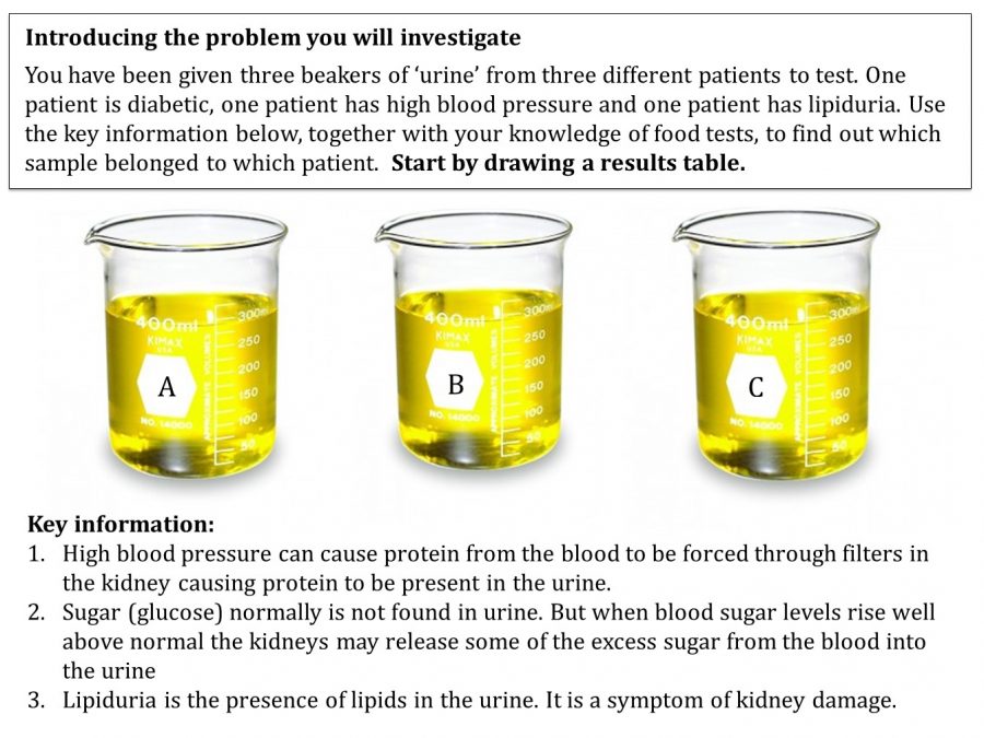 Food tests teaching resources - the science teacher